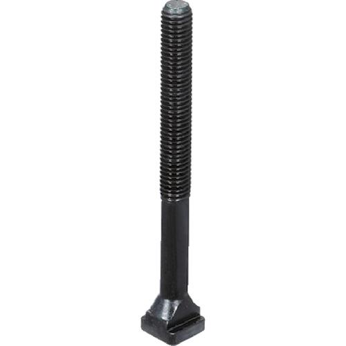 ハルダー HALDER Tボルト DIN 787 強度クラス 10.9 T溝幅10 M10×100 23030.0103 : 工具計画 プロツールショップ - 通販 - Yahoo!ショッピング