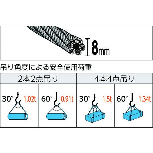 トラスコ 玉掛けワイヤーロープ 段落し 8mmX4m (1本) TWD-8S4 : ts-4892101 : 工具ランドプラス - 通販 - Yahoo!ショッピング