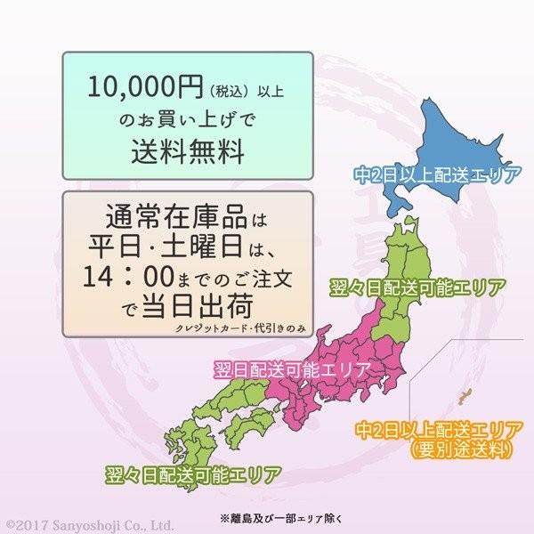 ダイヘン ( DAIHEN ) チップ ボディ U4167G03 CO2 MAG 溶接 ブルートーチ BT3510 シリーズ 用 箱 2個 ...