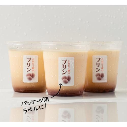 3M 3M エーワン ラベルシール 超耐水 表示・パッケージラベル インクジェット 光沢紙 白 A4 65面 1袋（10シート入） 64265 ...