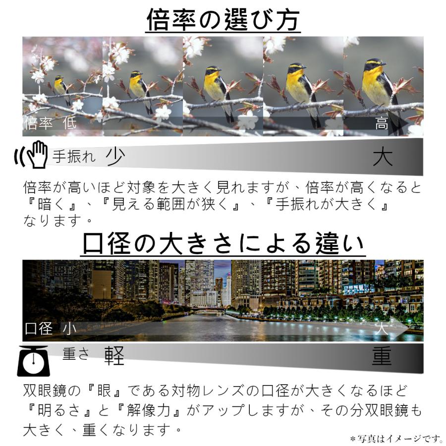 KOWA コーワ 双眼鏡 BDIIシリーズ BDII42-8XD 8倍 防水 :bdii42-8:興和オプトロニクス Yahoo!店 - 通販 - Yahoo!ショッピング