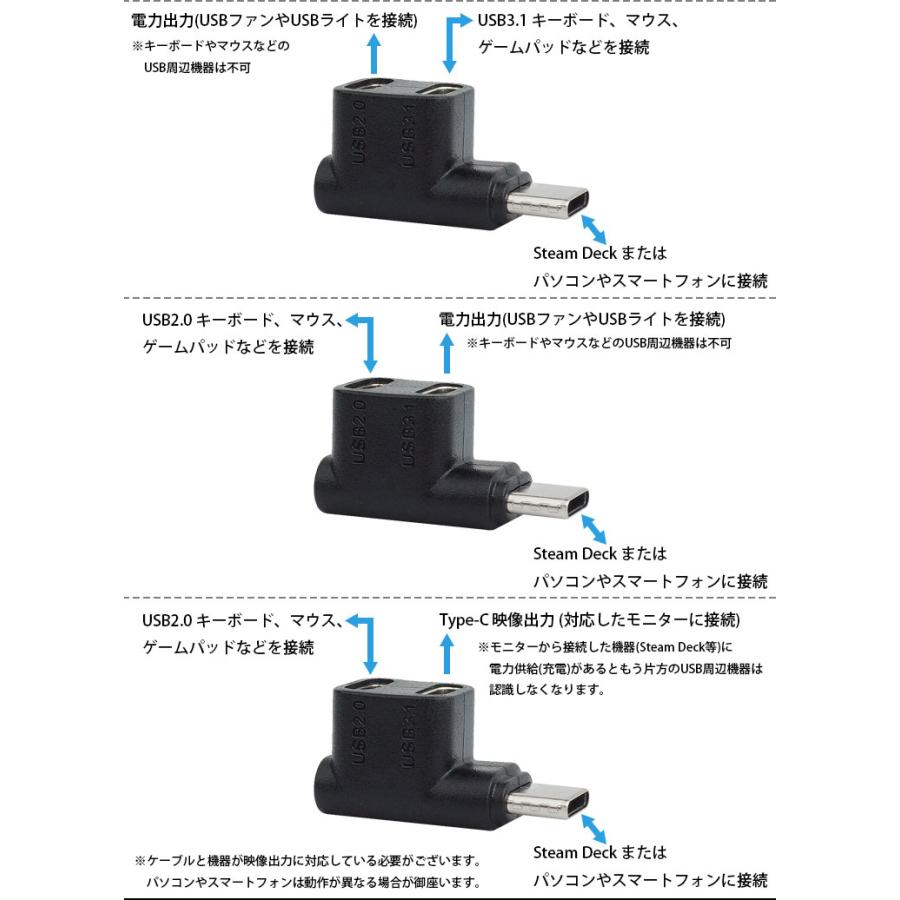 Type-C アダプタ 2in1 PD充電 最大100W USB タイプC コネクタ 急速充電 映像信号対応 データ転送 Steam Deck ...
