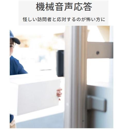 アイリスオーヤマ テレビドアホン（モニター付き親機TD-M30＋カメラ付き玄関子機TD-B10） TD-SM3010T-WSH ...