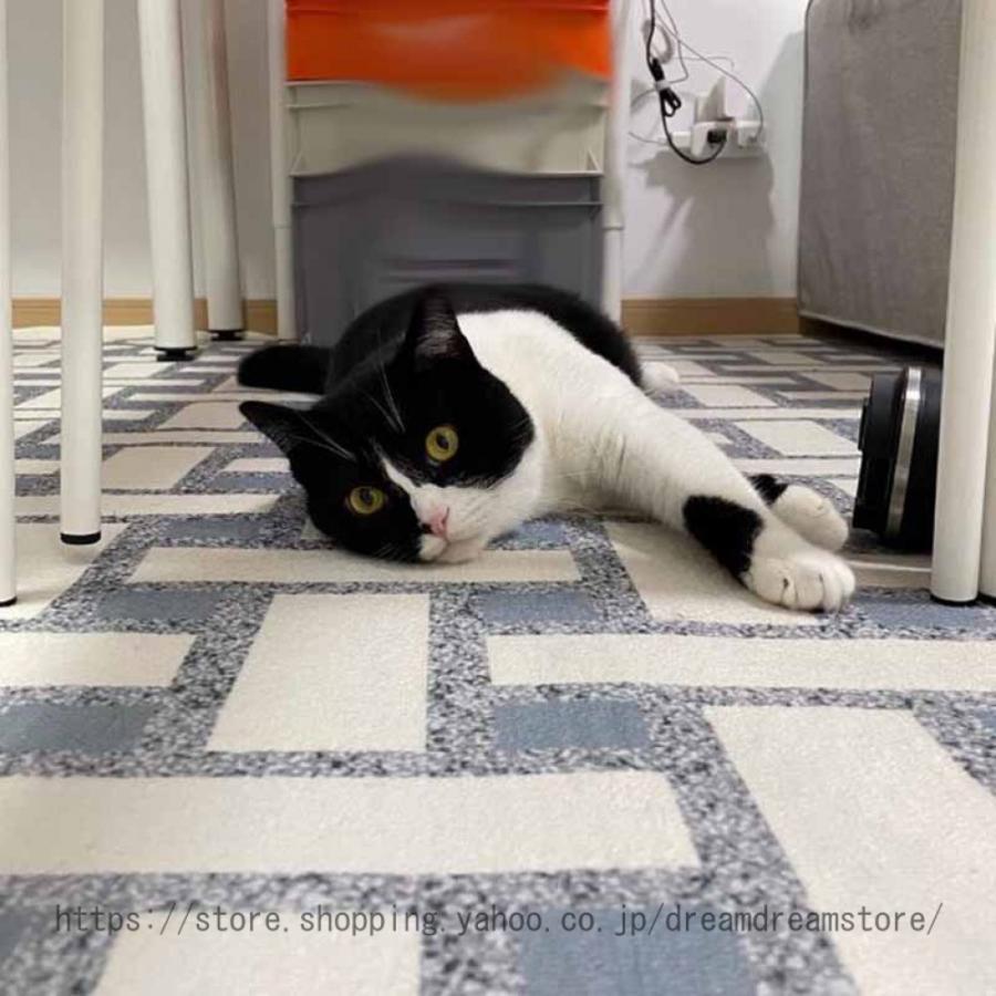 ラグ 洗える 北欧 おしゃれ 西海岸 ラグマット リビング 滑り止め じゅうたん カーペット マット フロアマット 絨毯 可愛い かわいい 正方形 長方形 部屋 : 0308-x982 ...