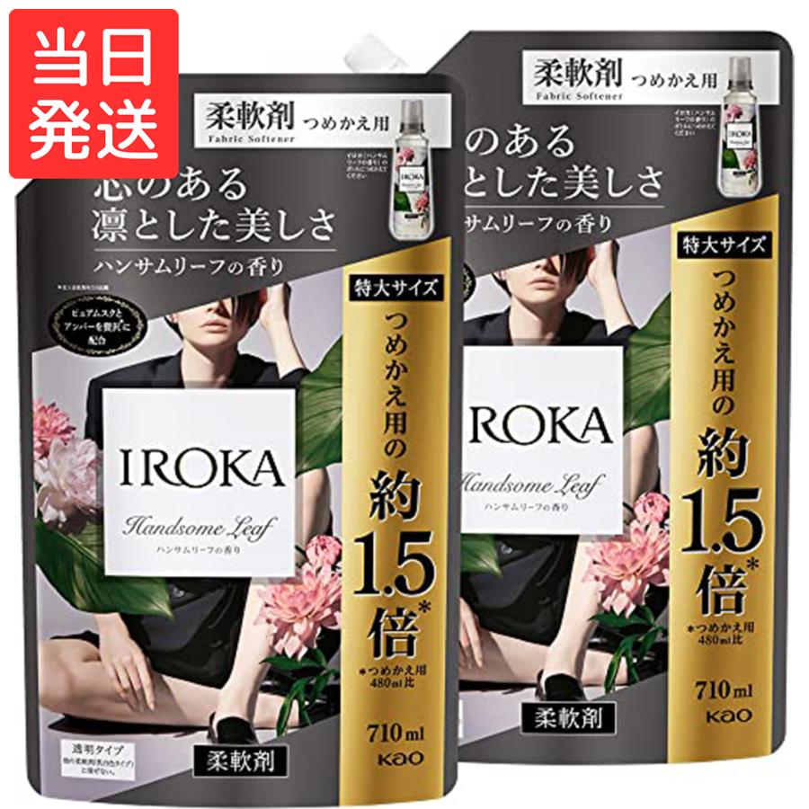 フレア フレグランス IROKA 柔軟剤 ハンサムリーフの香り 詰替え 710ml×2個 : ケーズストア Yahoo!店 - 通販 - Yahoo!ショッピング