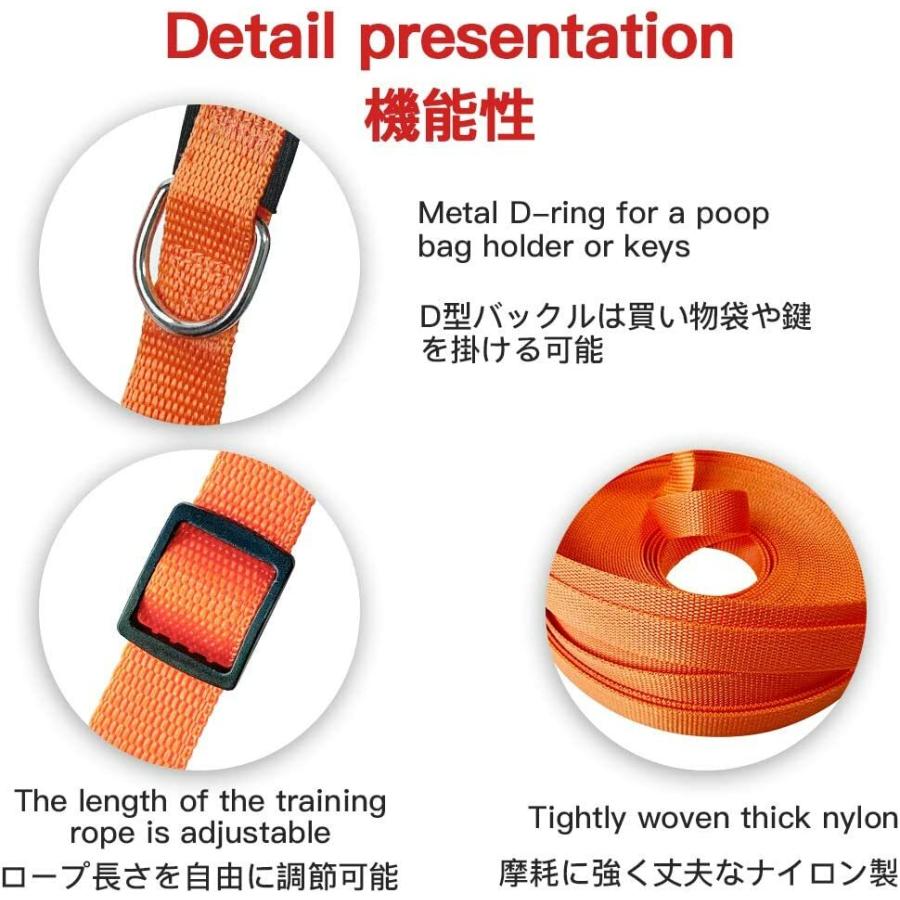 犬用リード ロング 牽引ロープ 長い 小型・中型・大型犬用 訓練・しつけ用 散歩 山登り 水に浮く ナイロン製 5m (オレンジorブラック) d5m‐obo : あやね - 通販 ...