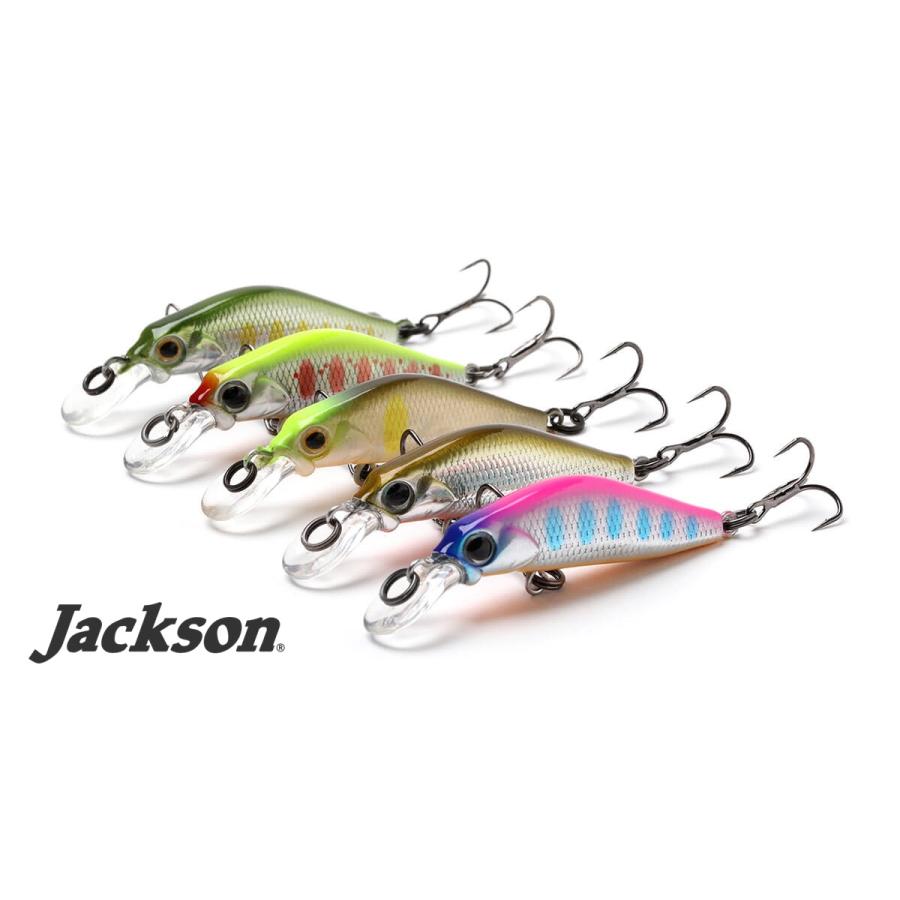 Jackson ジャクソン 奏 カナデ45 KANADE45 : グッドオープンエアズ マイクス - 通販 - Yahoo!ショッピング