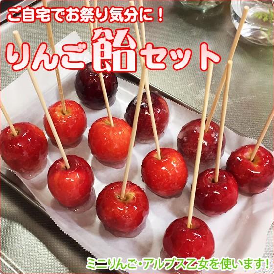 りんご飴セット アルプス乙女を使って作ってみてください りんご飴セット アルプス乙女を使って作ってみてください