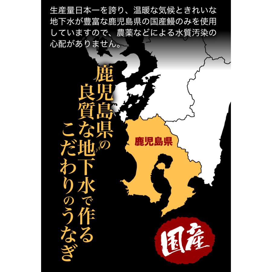 ギフト 国産うなぎ＆黒毛和牛 豪華Bセット(長蒲焼＆特上カルビ) 長蒲焼 (106g〜116g) x2本＆特上カルビ200g 贈答 送料無料 クール :gouka-b:くいしんぼうドットコム ...