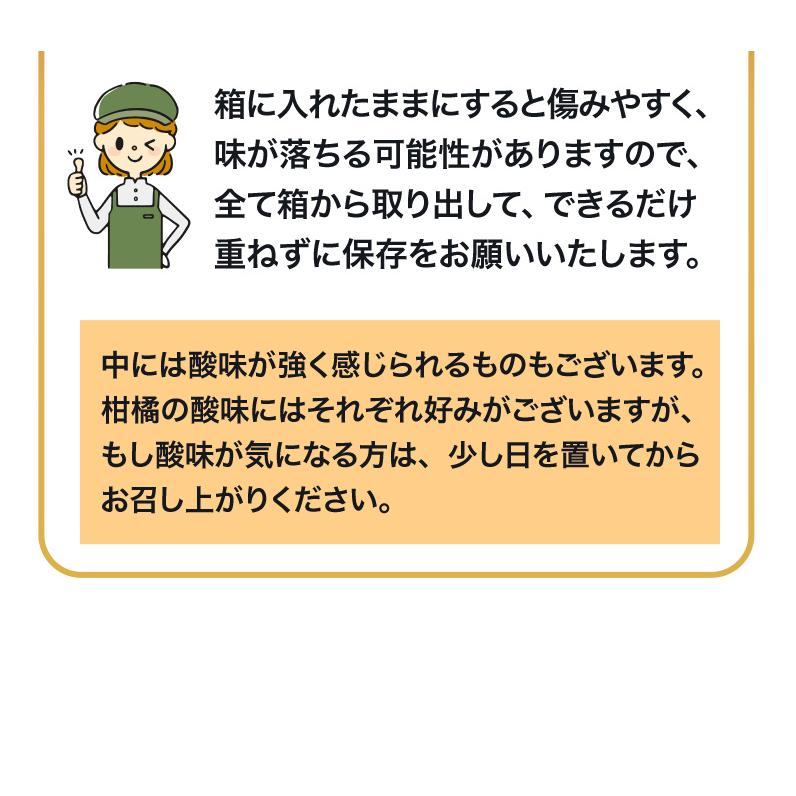 みかん 熊本県産 早生 秀品みかん 12月出荷 予約 味いち小玉みかん 3kg 2S/3Sサイズ 糖度12度以上 熊本産 産地直送 送料無料 S常 :wase-ajiko03:くいしんぼう ...