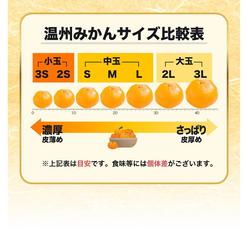 みかん 熊本県産 早生 秀品みかん 12月出荷 予約 味いち小玉みかん 3kg 2S/3Sサイズ 糖度12度以上 熊本産 産地直送 送料無料 S常 :wase-ajiko03:くいしんぼう ...