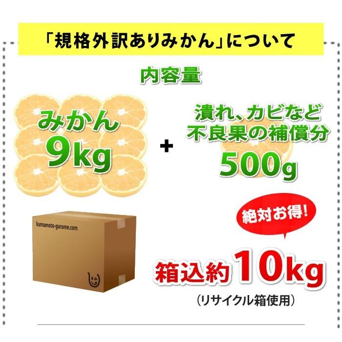 みかん 送料無料 箱込 10kg 訳あり 内容量9kg 補償分500g 規格外 サイズ不選別 熊本県産 温州 は大玉傾向 ミカン 蜜柑 ご自宅用 ポイント消化 : 熊本グルメ市場 Yahoo ...