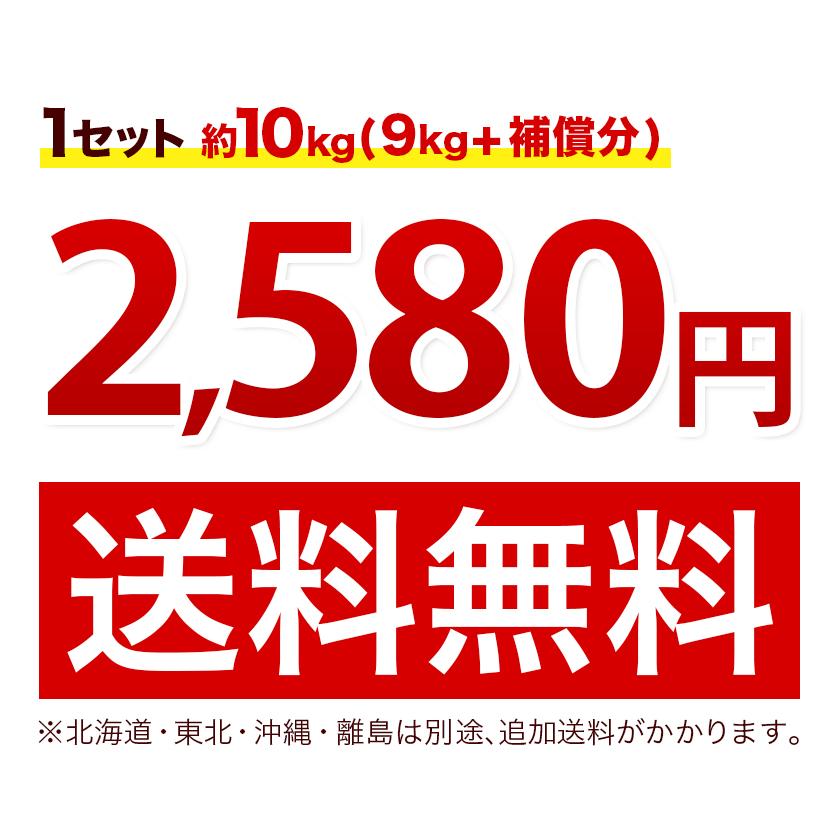 新たまねぎ 訳あり 送料無料 10kg 箱込 内容量9kg+補償分500g 新玉ねぎ 玉ねぎ 玉葱 タマネギ 熊本県産 国産 不揃い お得用 大容量 : y-w-sntm10 : 熊本グルメ ...