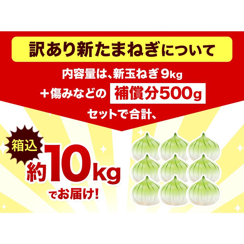 新たまねぎ 訳あり 送料無料 10kg 箱込 内容量9kg+補償分500g 新玉ねぎ 玉ねぎ 玉葱 タマネギ 熊本県産 国産 不揃い お得用 大容量 : y-w-sntm10 : 熊本グルメ ...