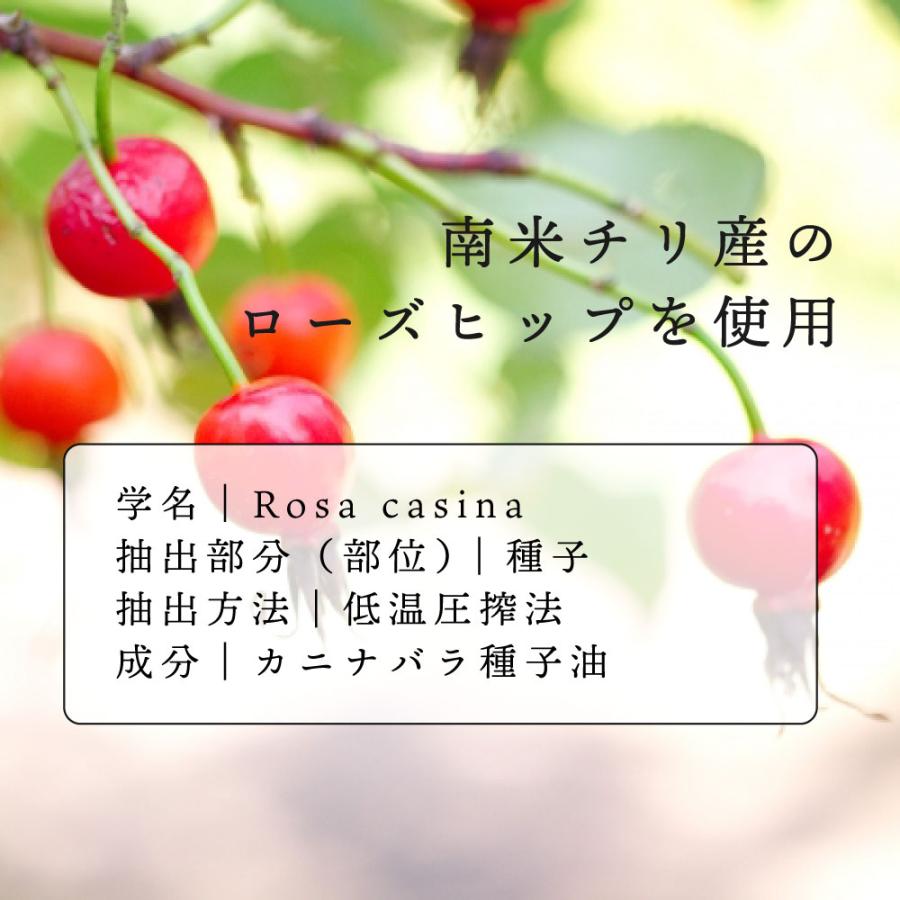 アンドエスエイチ エッセンシャルオイル 精油 無香料を含め4種類の香りが選べる &sh ローズヒップオイル 10ml +lt3+ : くもくもスクエア - 通販 - Yahoo!ショッピング