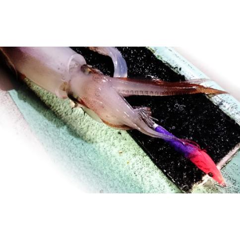 DUEL DUEL(デュエル）イージースリム布巻/オーロラ 夜光レッドヘッド80mm スッテ : kumutreeヤフーショップ - 通販 - Yahoo!ショッピング