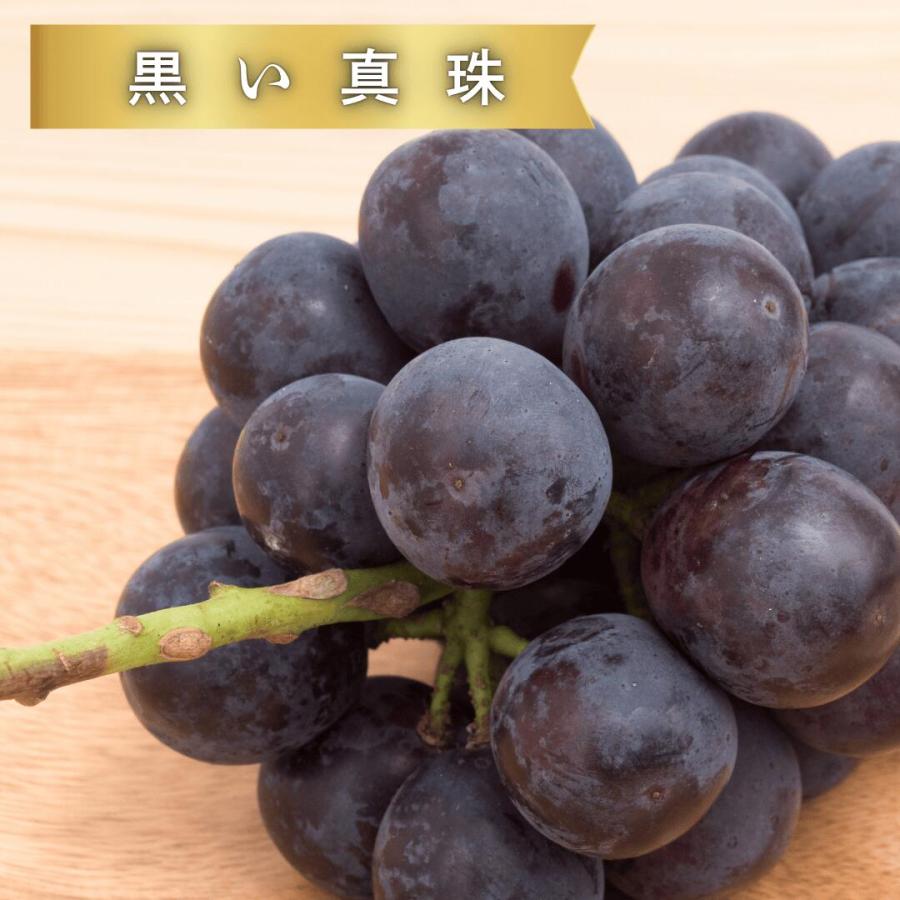 「岡山産ピオーネ 約2kg」ご予約開始！★黒い真珠 大粒で濃厚な味わい★【送料無料】【ギフト】【贈答用】【クール便】 岡山県産 ピオーネ 4〜5房 : 愛媛フルーツ村くにやす - 通販 ...