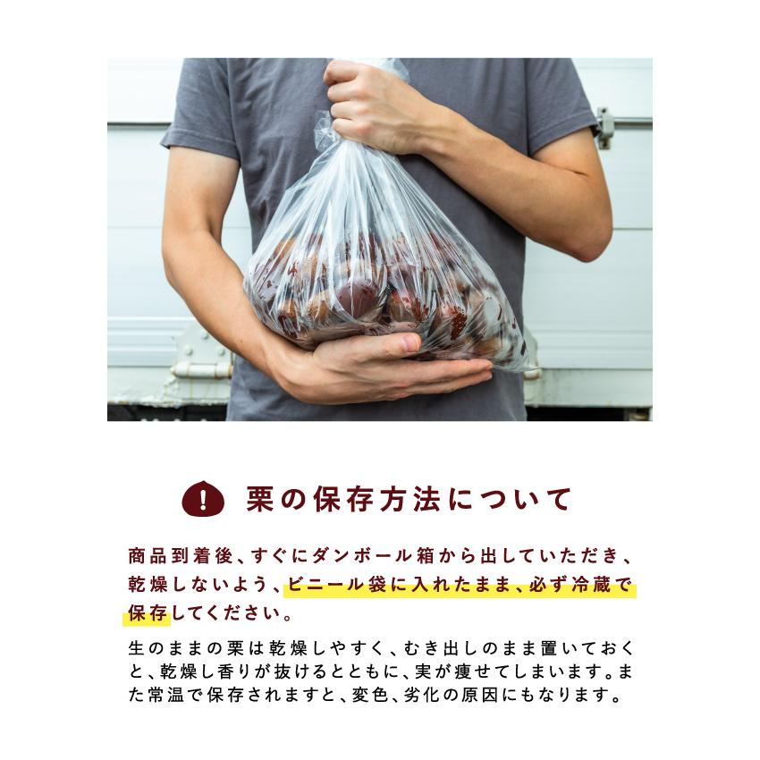 「利平栗 4kg」【送料無料】【クール便】愛媛産 利平栗 4キロ M〜3Lサイズ 希少な逸品！最高峰の幻の栗！生栗 : 愛媛フルーツ村くにやす - 通販 - Yahoo!ショッピング