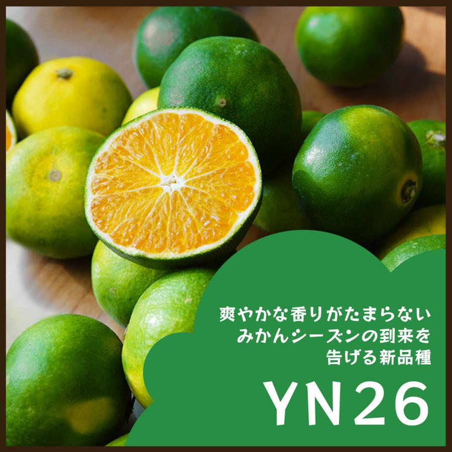 YN26 みかん 5kg 和歌山県産 産地直送 訳あり 家庭用 極早生 新品種 送料無料 下津みかん しもつみかん 蔵出しみかんの藤原農園 海南市 :001-001:蔵出しみかんの藤原農園 ...