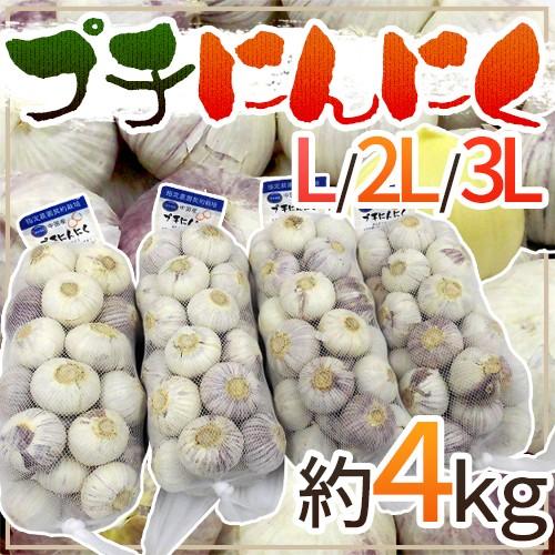 ”プチにんにく” L/2L/3L 約4kg 送料無料 : くらし快援隊 - 通販 - Yahoo!ショッピング