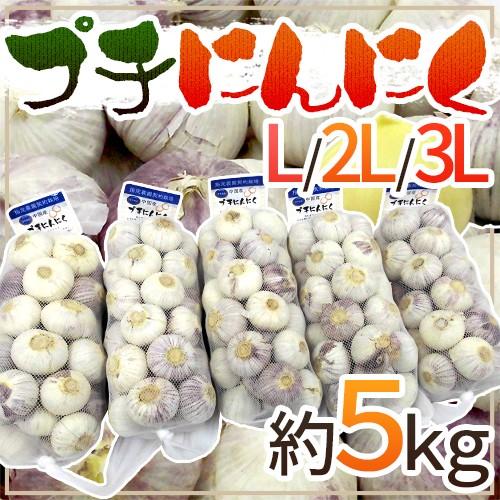 ”プチにんにく” L/2L/3L 約5kg 送料無料 : くらし快援隊 - 通販 - Yahoo!ショッピング