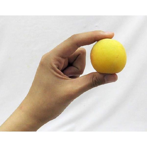 ”紀州・和歌山産 南高梅 完熟” 秀品 2L〜3L 約3kg【予約 6月以降】 送料無料 : くらし快援隊 - 通販 - Yahoo!ショッピング