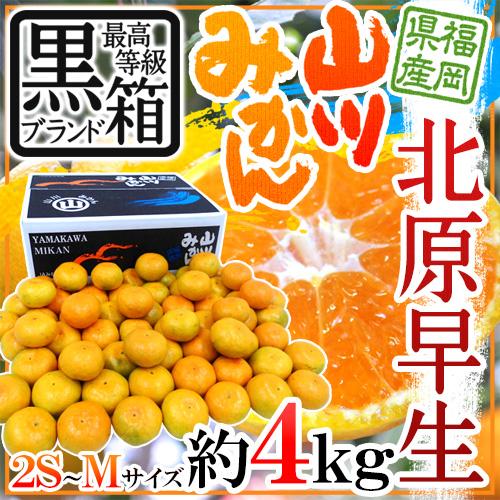みかん 福岡 JAみなみ筑後 ”山川みかん 北原早生” 黒箱等級 2S/S/Mサイズ 約4kg【予約 10月中旬以降】 送料無料 : くらし快援隊 - 通販 - Yahoo!ショッピング