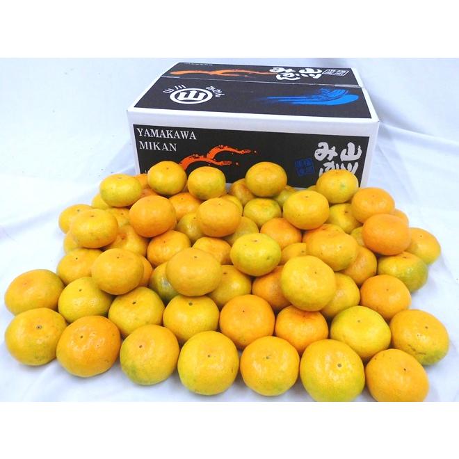 みかん 福岡 JAみなみ筑後 ”山川みかん 北原早生” 黒箱等級 2S/S/Mサイズ 約4kg【予約 10月中旬以降】 送料無料 : くらし快援隊 - 通販 - Yahoo!ショッピング