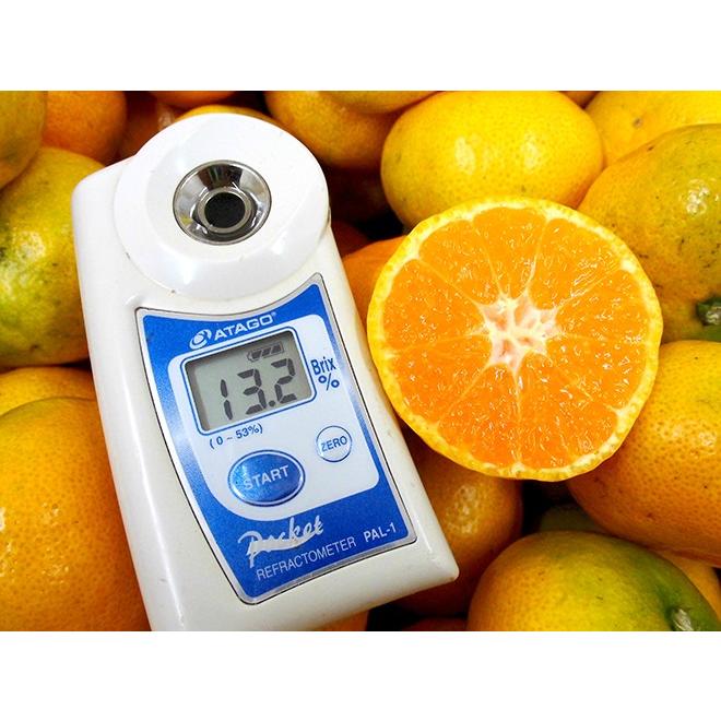 みかん 福岡 JAみなみ筑後 ”山川みかん 北原早生” 黒箱等級 2S/S/Mサイズ 約4kg【予約 10月中旬以降】 送料無料 : くらし快援隊 - 通販 - Yahoo!ショッピング