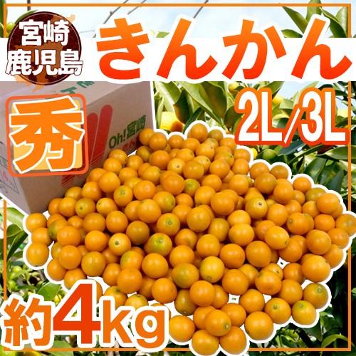 宮崎・鹿児島県 ”きんかん” 秀品 2L〜3L 約4kg 金柑【予約 12月以降】 送料無料 : くらし快援隊 - 通販 - Yahoo!ショッピング