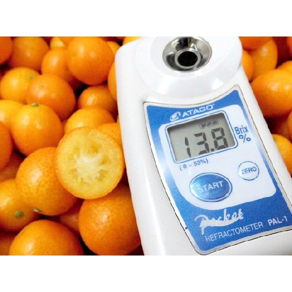 宮崎・鹿児島県 ”きんかん” 秀品 2L〜3L 約4kg 金柑【予約 12月以降】 送料無料 : くらし快援隊 - 通販 - Yahoo!ショッピング