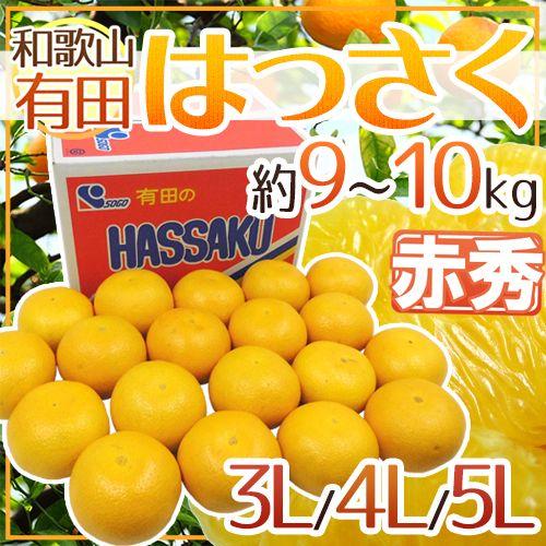 和歌山有田産 ”AQはっさく” 赤秀 超大玉3L/4L/5Lサイズ 約9〜10kg【予約 1月中旬以降】 送料無料 : くらし快援隊 - 通販 - Yahoo!ショッピング