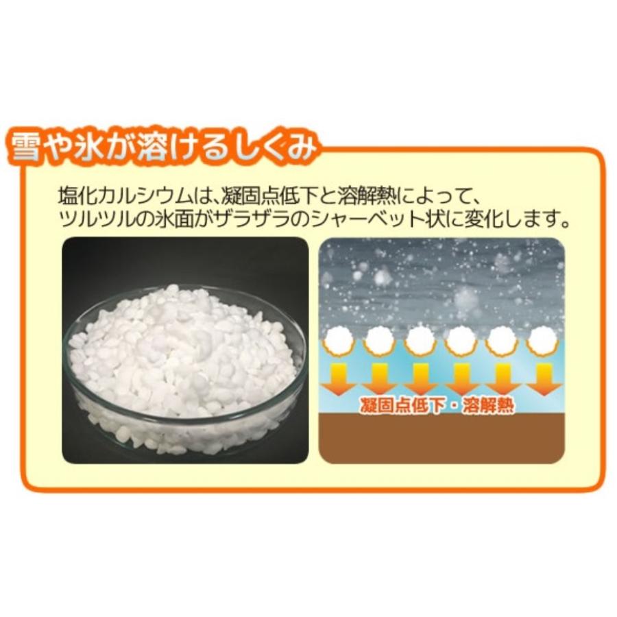 紀陽除虫菊 融氷・凍結防止剤 アイスバイ 680g K-7118 : 4971902071183 : くらし壱番館 - 通販 - Yahoo!ショッピング