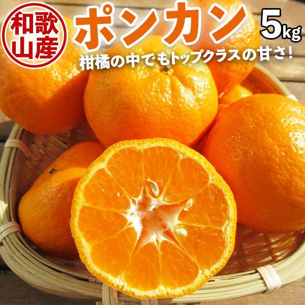 和歌山 ポンカン 5kg M〜Lサイズ 和歌山県産 高糖度 ぽんかん オレンジ ギフト広場 : 暮らしのマート - 通販 - Yahoo!ショッピング