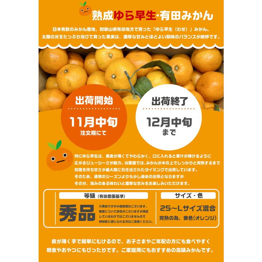 完熟 ゆら早生みかん 高糖度 有田みかん 5kg 秀品 家庭用 和歌山県 有田産 由良早生みかん サイズ：2S〜Lサイズ混合 ギフト広場 : 暮らしのマート - 通販 - Yahoo!ショッピング