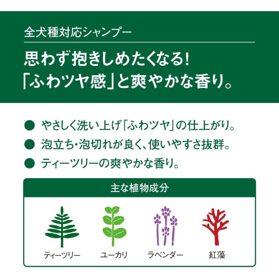 2本セット A.P.D.C. ティーツリーシャンプー 500ml APDC :apdc500-sya-2:くらし応援本舗 Yahoo!店 - 通販 - Yahoo!ショッピング
