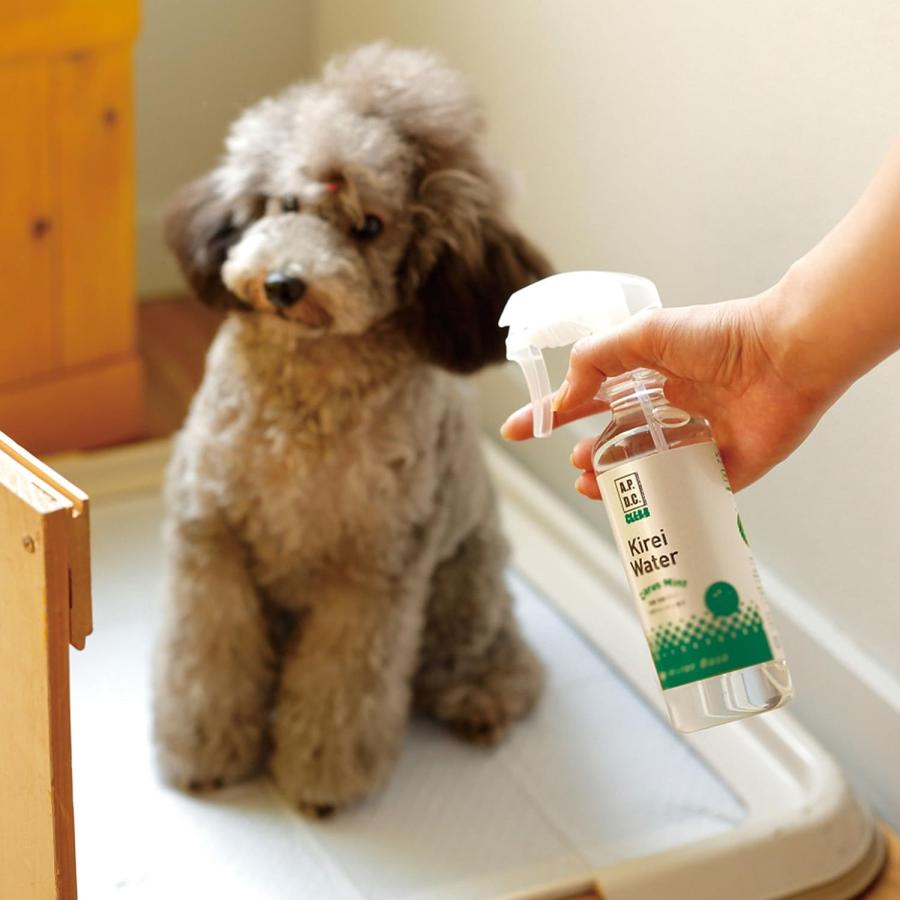 A.P.D.C. キレイウォーター グリーンフォレスト 1L 詰め替え用 APDC : くらし応援本舗(くらしドラッグ)Yahoo!店 - 通販 - Yahoo!ショッピング