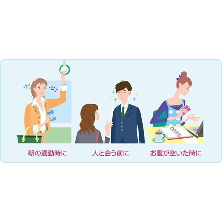 6個セット グリコ ブレオEX グレープミント 66g BREO EX : くらし応援本舗(くらしドラッグ)Yahoo!店 - 通販 - Yahoo!ショッピング