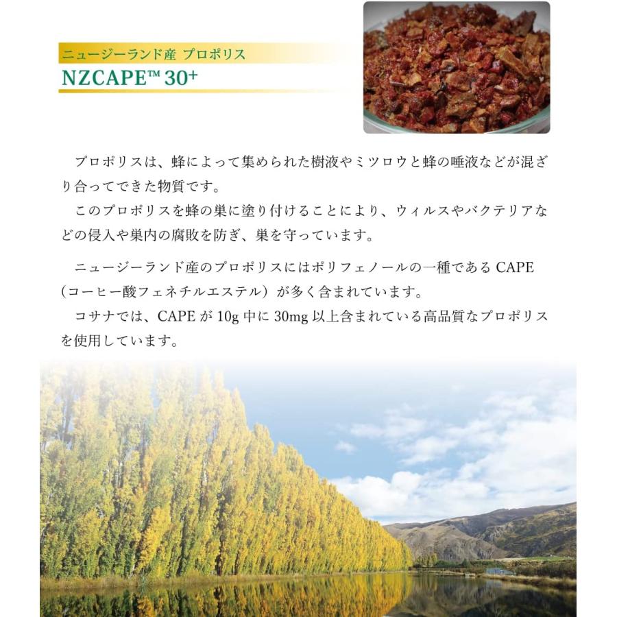 3袋セット コサナ プロポリス&マヌカハニーMGO400+ キャンディ 81g 飴 あめ ジップ付き 添加物不使用 : くらし応援本舗(くらしドラッグ)Yahoo!店 - 通販 - Yahoo ...