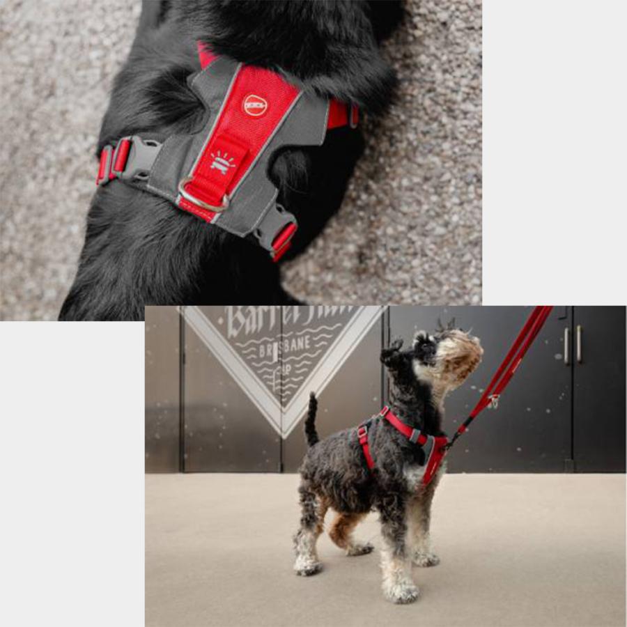 イージードッグ EZYDOG エックスリンクハーネス S : ペッツビレッジクロスヤフー店 - 通販 - Yahoo!ショッピング