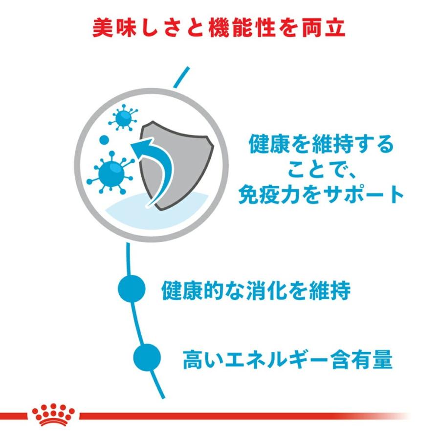ロイヤルカナン ドッグフード SHN ミニパピー 小型犬の子犬用 85g×12袋 : ペッツビレッジクロスヤフー店 - 通販 - Yahoo!ショッピング