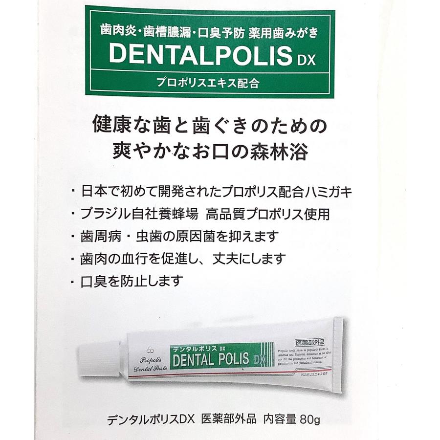 日本自然療法 デンタルポリスDX 80gx2コ（医薬部外品）日本初 プロポリス配合 薬用ハミガキ : くすりのケンコちゃんヤフー店 - 通販 - Yahoo!ショッピング
