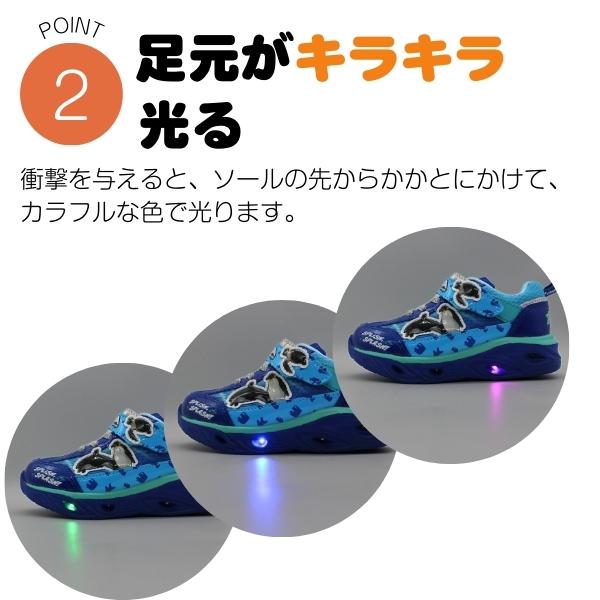 アニア スニーカー キッズ 子供 男の子 靴 ブラック 黒 ブルー 青 フラッシュスニーカー 光る 動物 アニマルアドベンチャー 幼稚園 保育園 LED 51007 51008 : 靴の ...