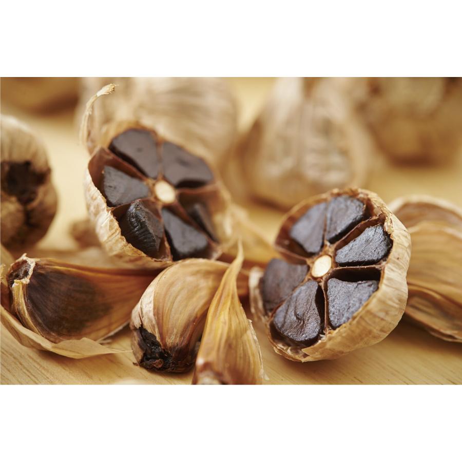 黒にんにく発酵器 AZ-1300H 黒にんにくメーカー 自家製 ニンニク 手作り 乾燥機 発酵 : ウェルフェア奈良店 - 通販 - Yahoo!ショッピング