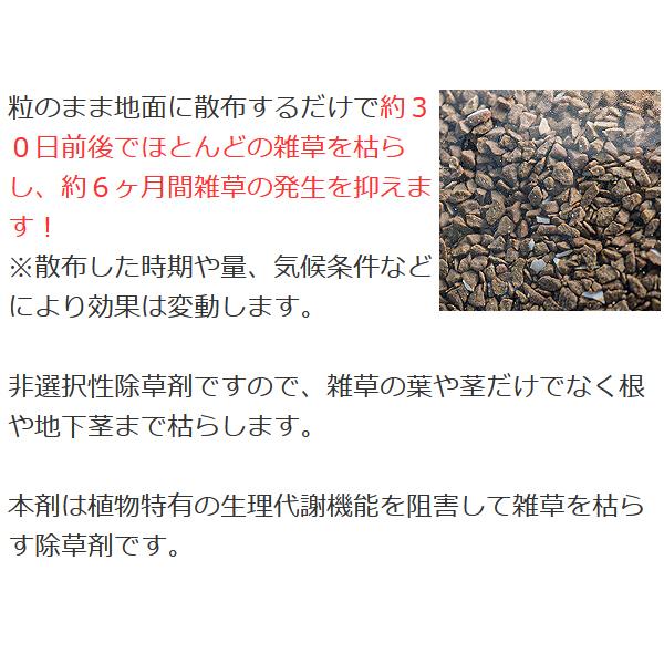 強力 除草剤 顆粒 草枯れ粒太郎 ブロマシル 5％ 10kg 2個セット 雑草対策 : あっと解消 Yahoo!店 - 通販 - Yahoo!ショッピング
