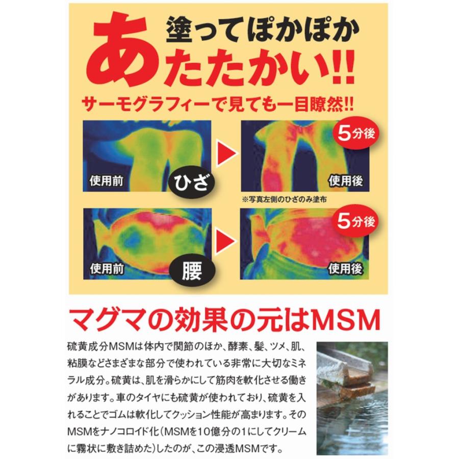 サミーライフ らくちんクリーム 温感マグマ 烈 (れつ)100g×2個 :C1825-02:今日美人 - 通販 - Yahoo!ショッピング