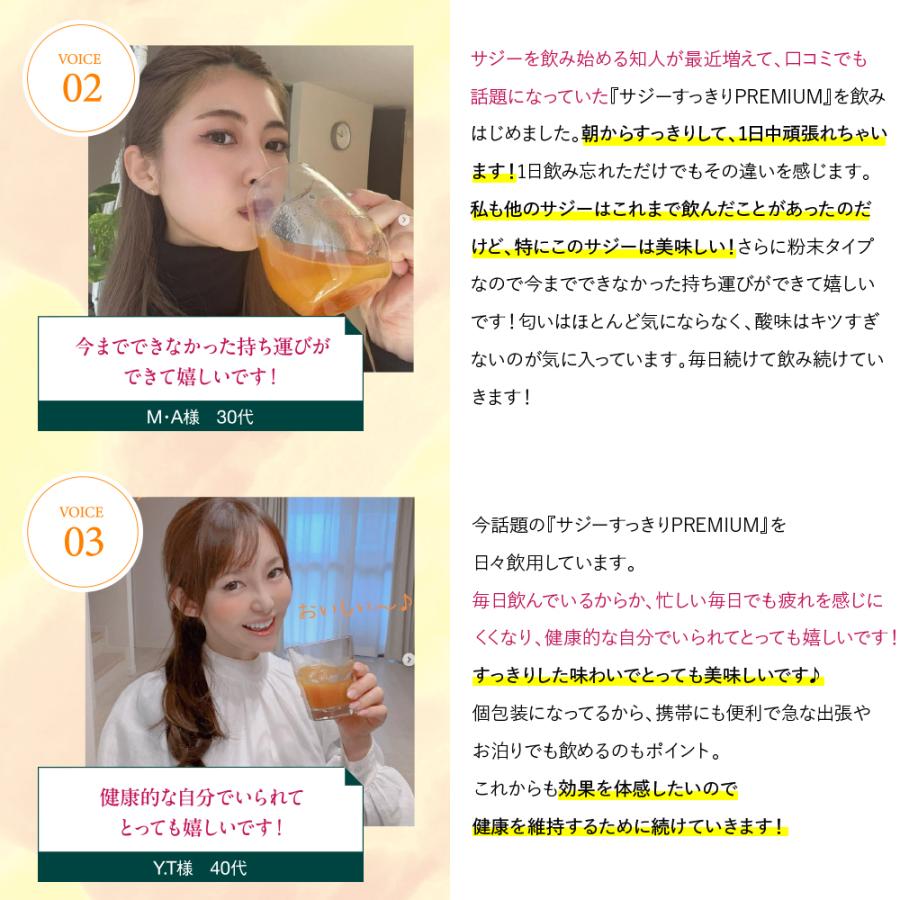サジー すっきりPREMIUM サジージュース 30包 1か月分 鉄分 11mg 粉末 美容 沙棘 シーベリー リンゴ酸 鉄分補給 添加物不使用 KIMEKI キメキ : saji30 ...