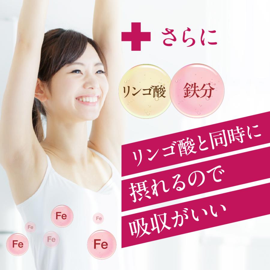 サジー すっきりPREMIUM サジージュース 30包 1か月分 鉄分 11mg 粉末 美容 沙棘 シーベリー リンゴ酸 鉄分補給 添加物不使用 KIMEKI キメキ : saji30 ...