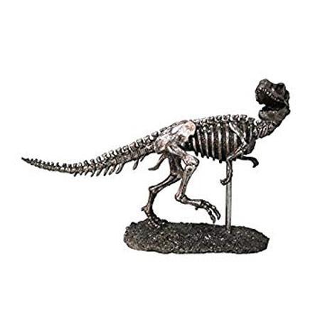 恐竜の化石 ティラノサウルス 恐竜の化石 オブジェ : 教材自立 恐竜の化石 ティラノサウルス 恐竜の化石 オブジェ : 教材自立