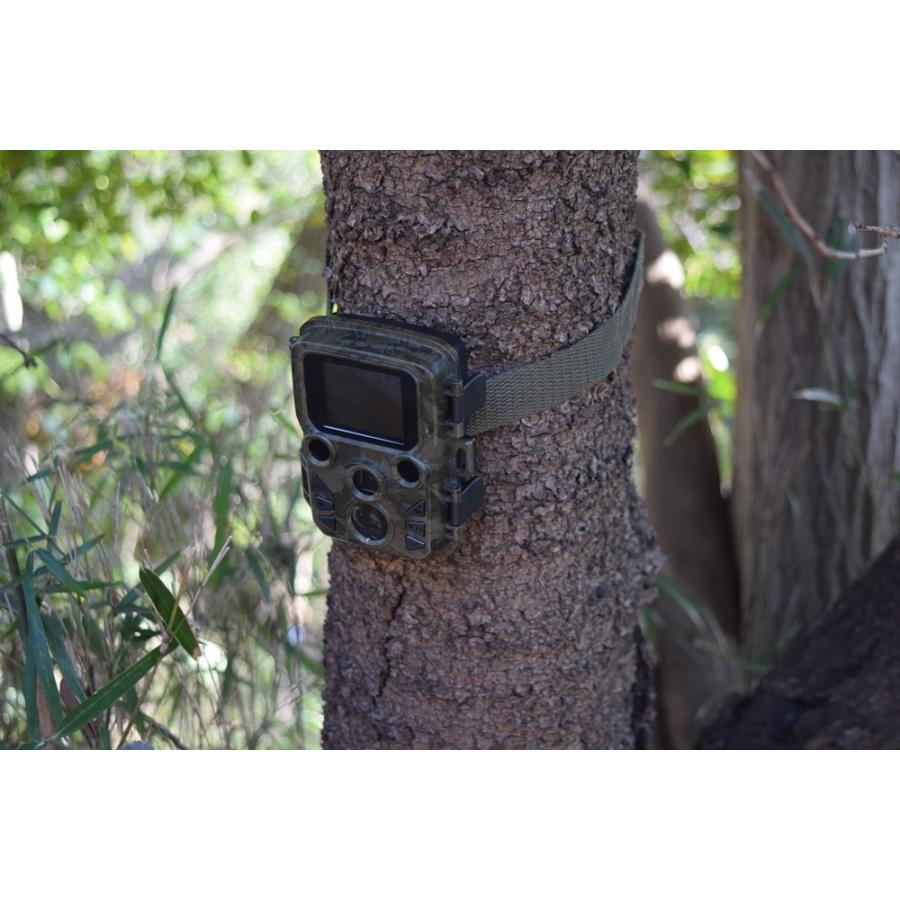 STR-MiNi300 赤外線無人撮影カメラ・ミニ | SIGHTRON : 協和テクノ ヤフー店 - 通販 - Yahoo!ショッピング